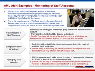Riskpro Aml Services | PDF