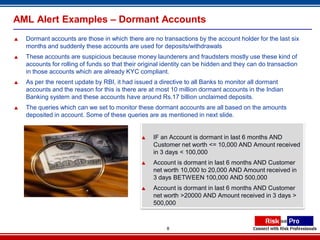 Riskpro Aml Services | PDF