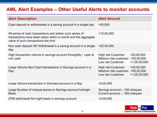 Riskpro Aml Services | PDF