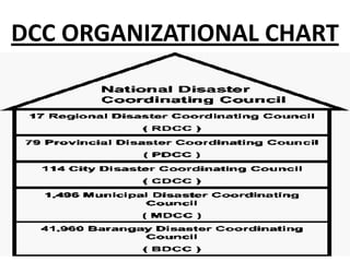 Disaster Risk Reduction and Management | PPTX