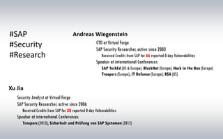 Risks of Hosted SAP Environments | PDF