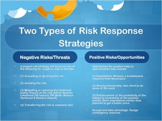 Risk strategies presentation | PDF