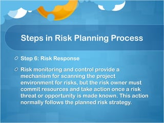 Risk strategies presentation | PDF