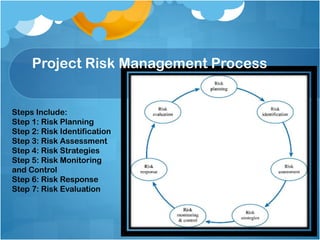 Risk strategies presentation | PDF