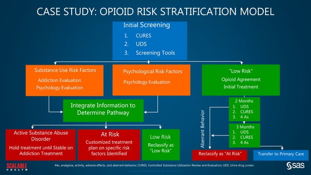 Risk Stratification in Mental Health using Big Data | PPT