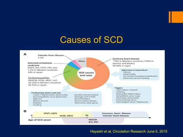 Risk stratification to prevent SCD in young athletes | PPT