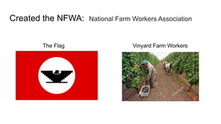 Risk takers, Cesar Chavez | PPT