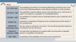 risk terminology.pptx