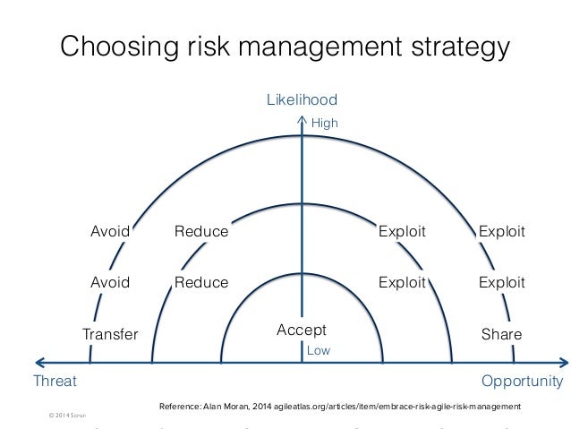 Agile Risk Management
