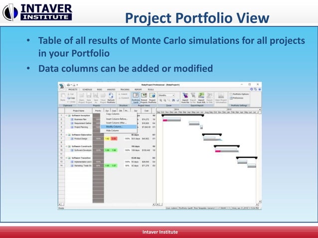 RiskyProject Enterprise | PPTX | Business | Business and Finance