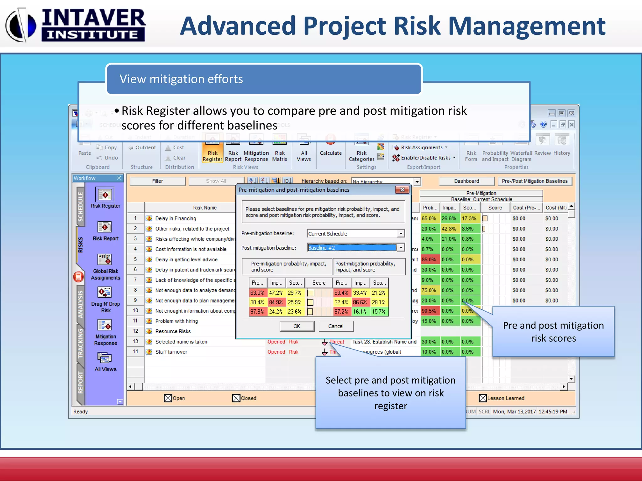 RiskyProject Software | PPT