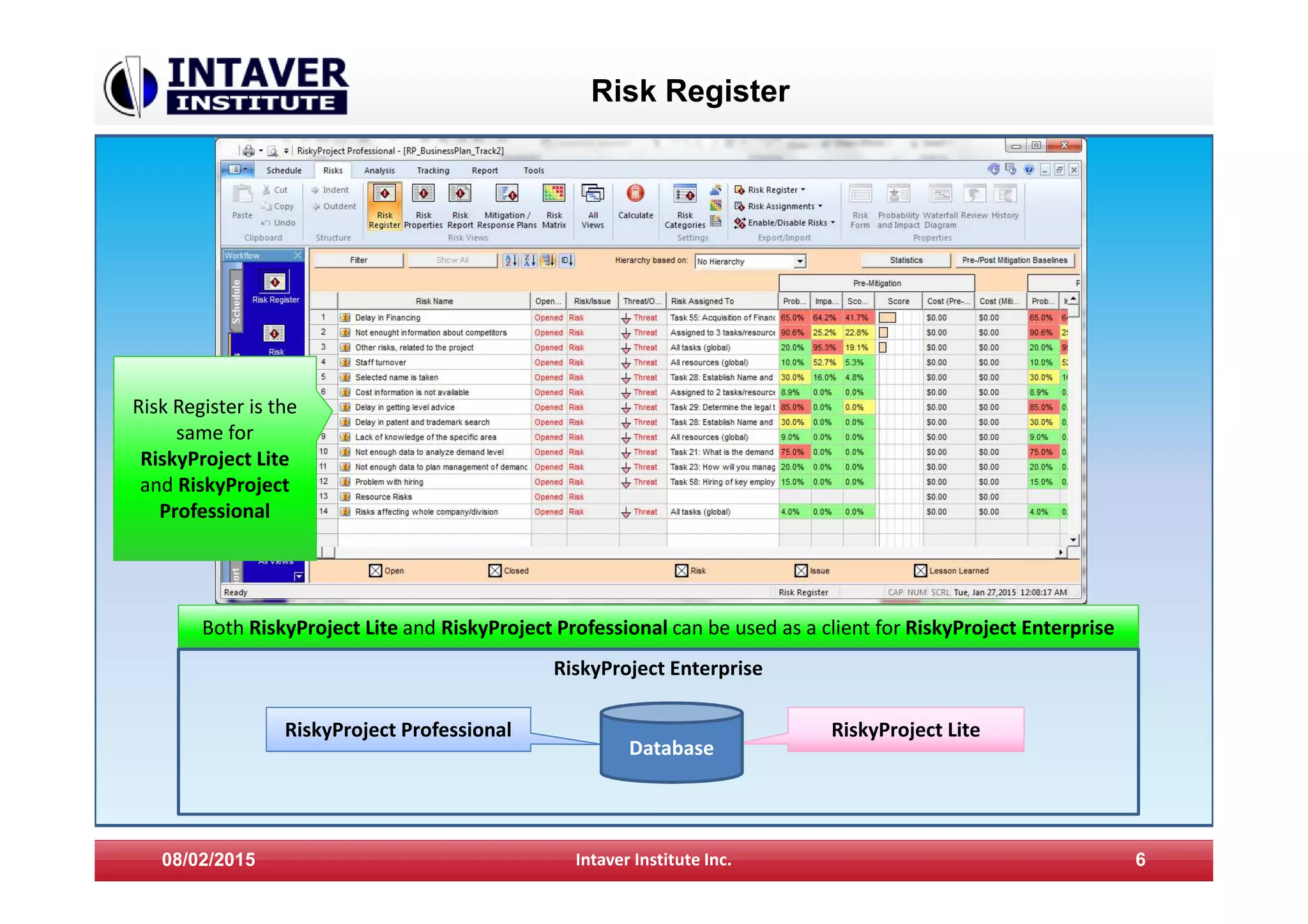 Risky Project Lite vs. Professional | PPT