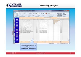 Risky Project Lite vs. Professional | PPT