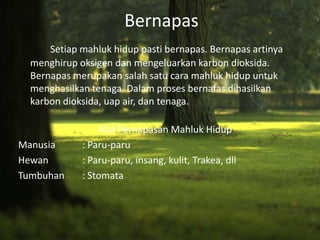 ciriciri mahluk hidup | PPTX