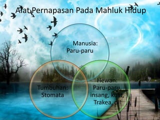 ciriciri mahluk hidup | PPTX