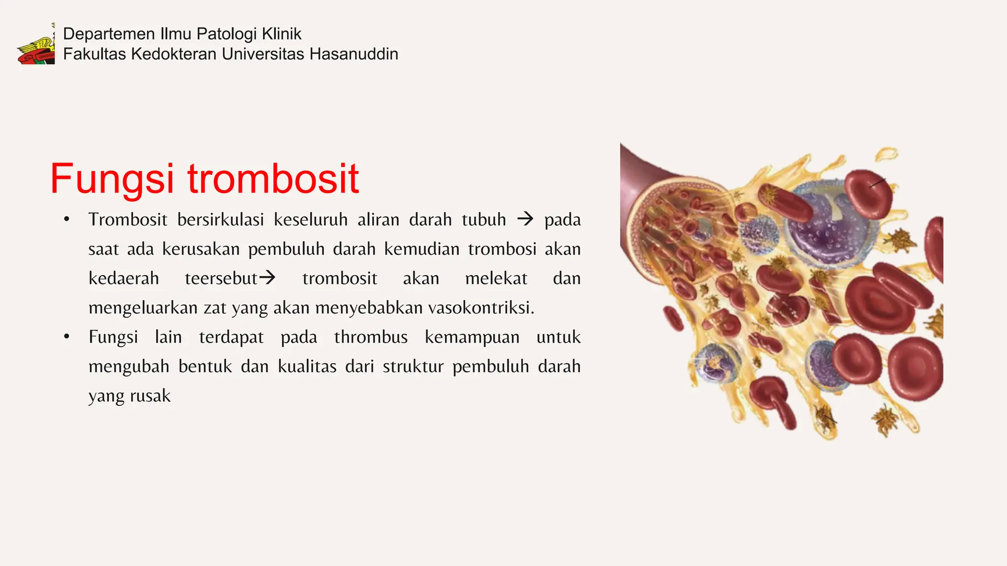 Proposal penelitian analisis kadar trombosit | PPTX