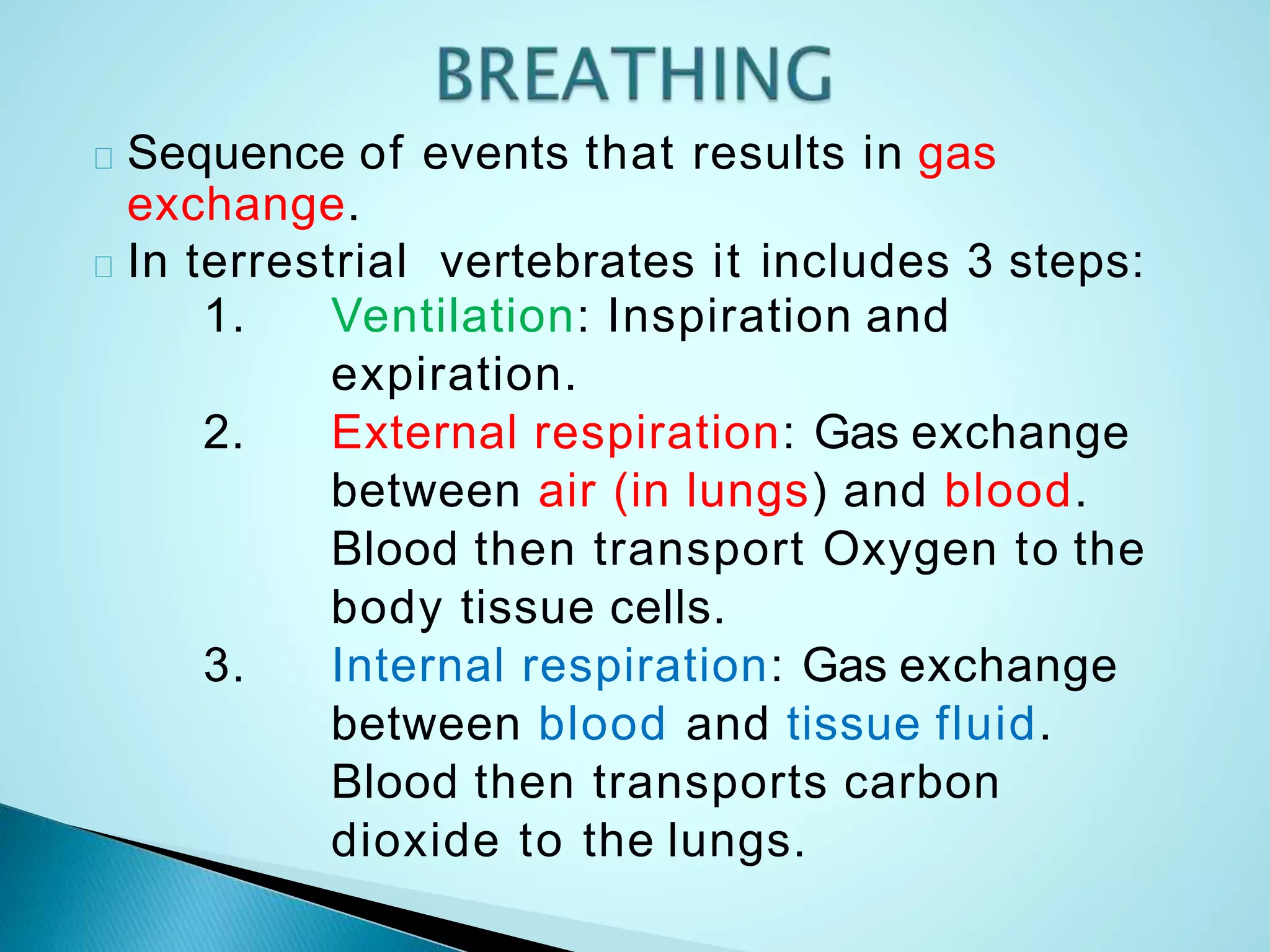 Respiratory system and includes gases exchanges, functions, factors ...