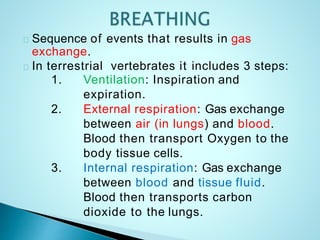 Respiratory system and includes gases exchanges, functions, factors ...