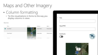RISPUG - Top Form - Using PowerApps to Replace List Forms | PPTX | Computer Software and ...