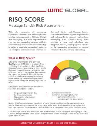 RISQ Score Overview | PDF