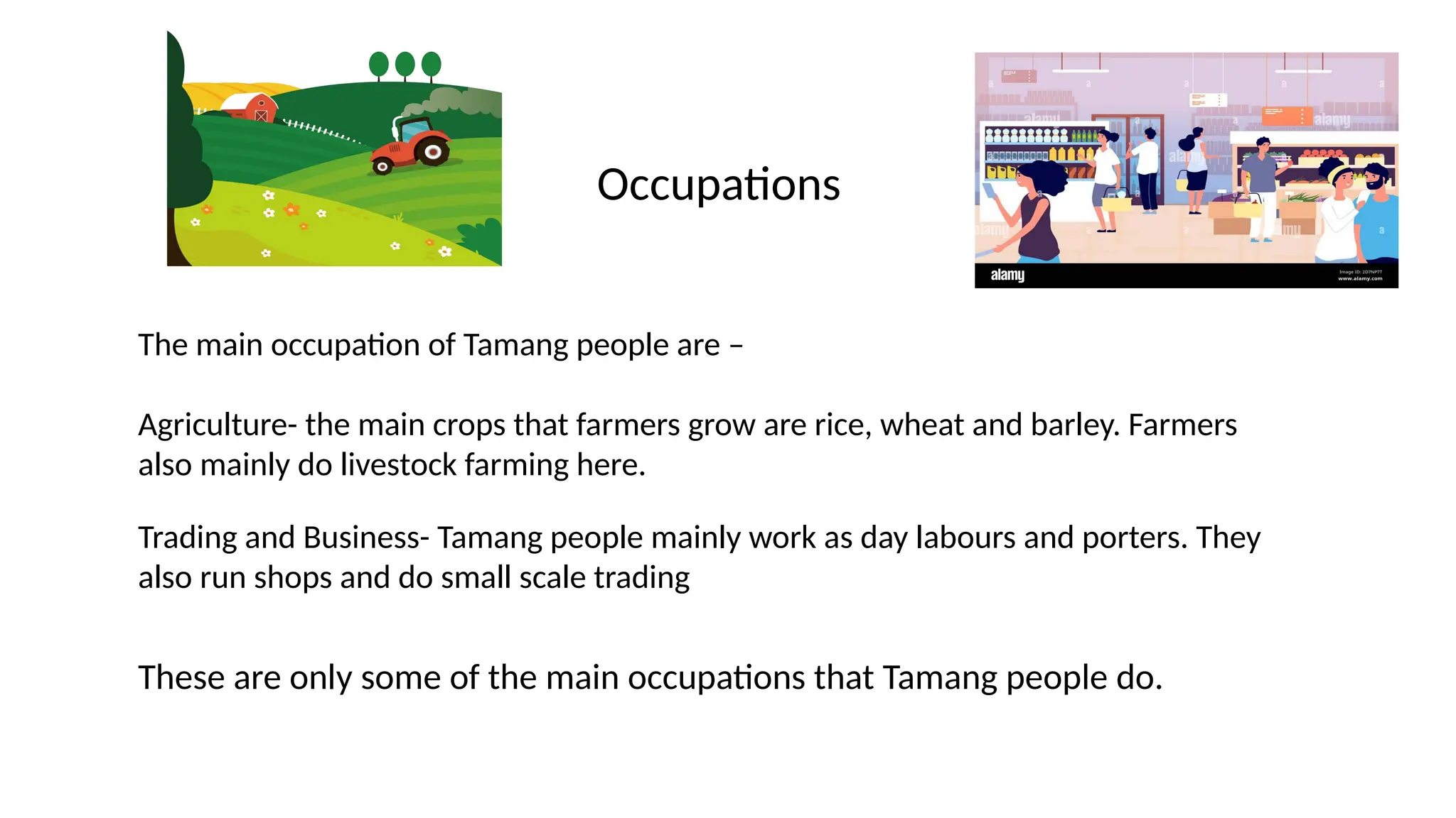 ri sst.pptx TAMANG PEOPLE OCCUPATIONS CHART | PPTX