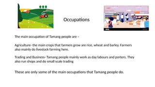 ri sst.pptx TAMANG PEOPLE OCCUPATIONS CHART | PPTX