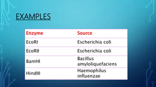 Ristriction endo nuclease | PPTX | Chemistry | Science