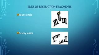 Ristriction endo nuclease | PPTX | Chemistry | Science