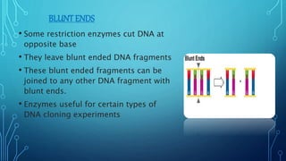 Ristriction endo nuclease | PPTX | Chemistry | Science
