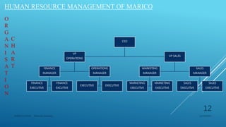 MARICO | PPTX