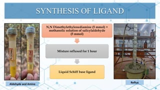 Ritam Biswas, Project PPT biochemistry.pptx | Chemistry | Science