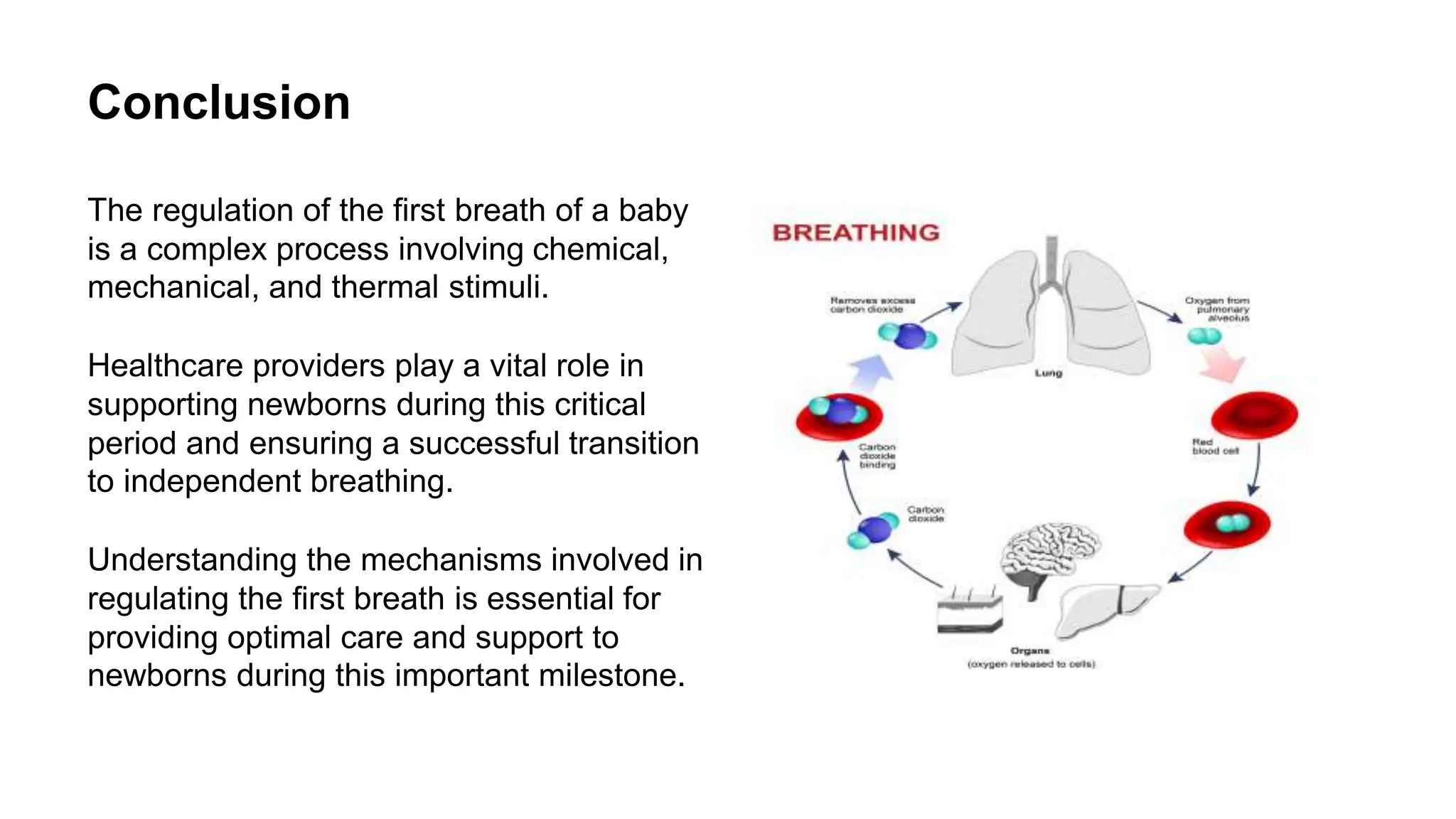 RITANSHU SONEKAR REGULATION OF FIRST BREATHING OF BABY.pptx