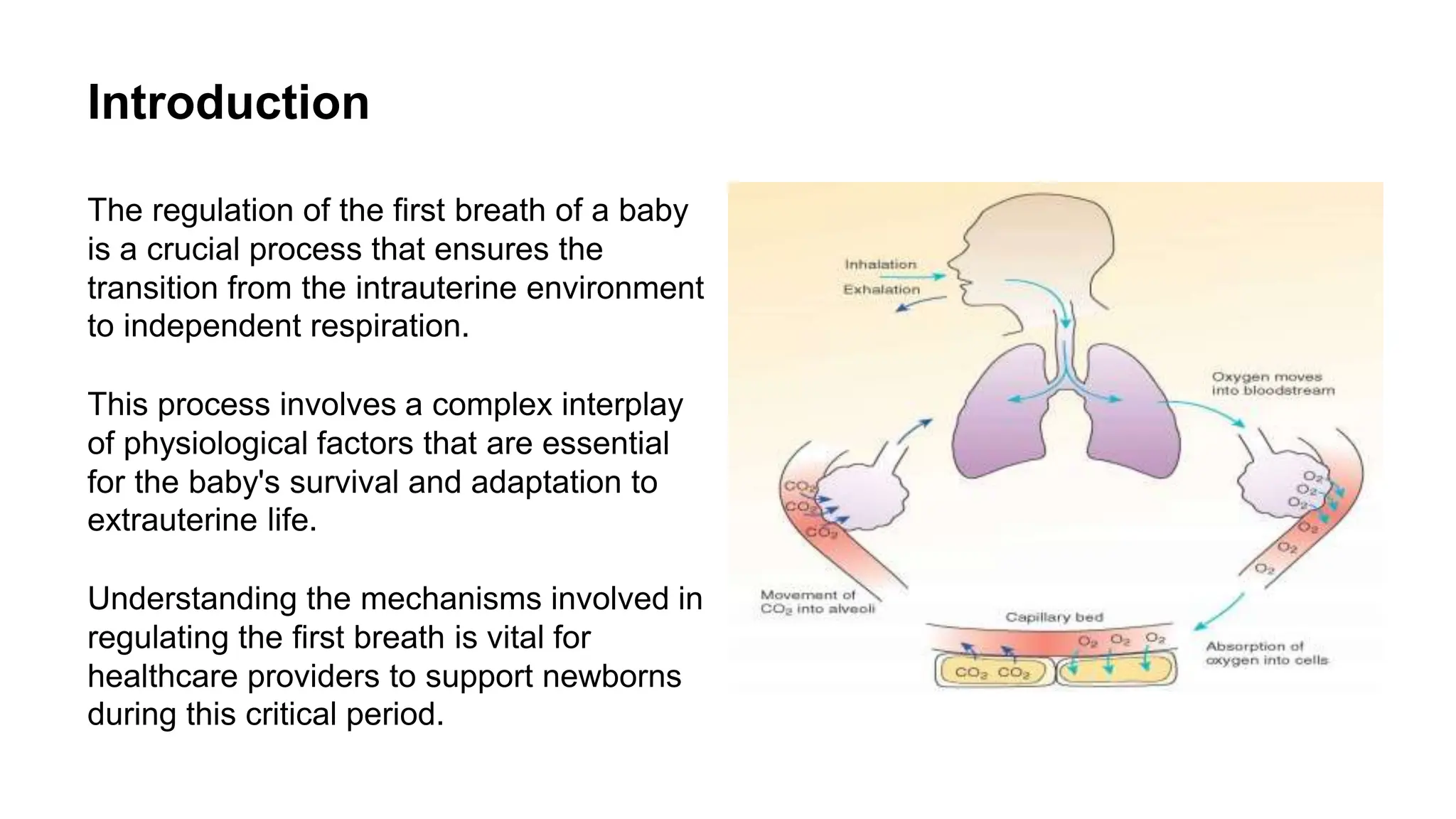 RITANSHU SONEKAR REGULATION OF FIRST BREATHING OF BABY.pptx