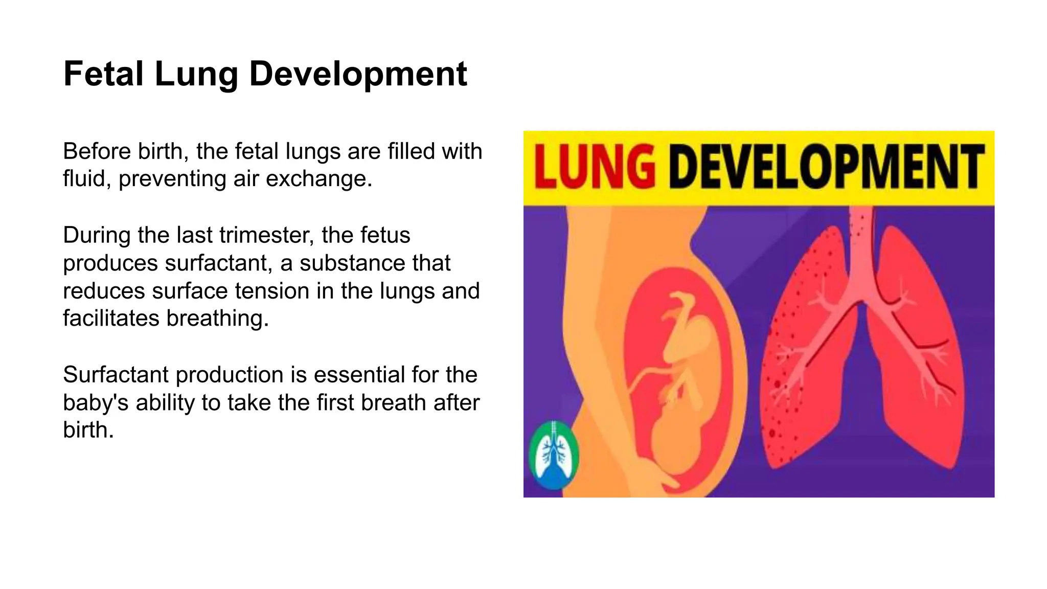 RITANSHU SONEKAR REGULATION OF FIRST BREATHING OF BABY.pptx