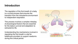 RITANSHU SONEKAR REGULATION OF FIRST BREATHING OF BABY.pptx