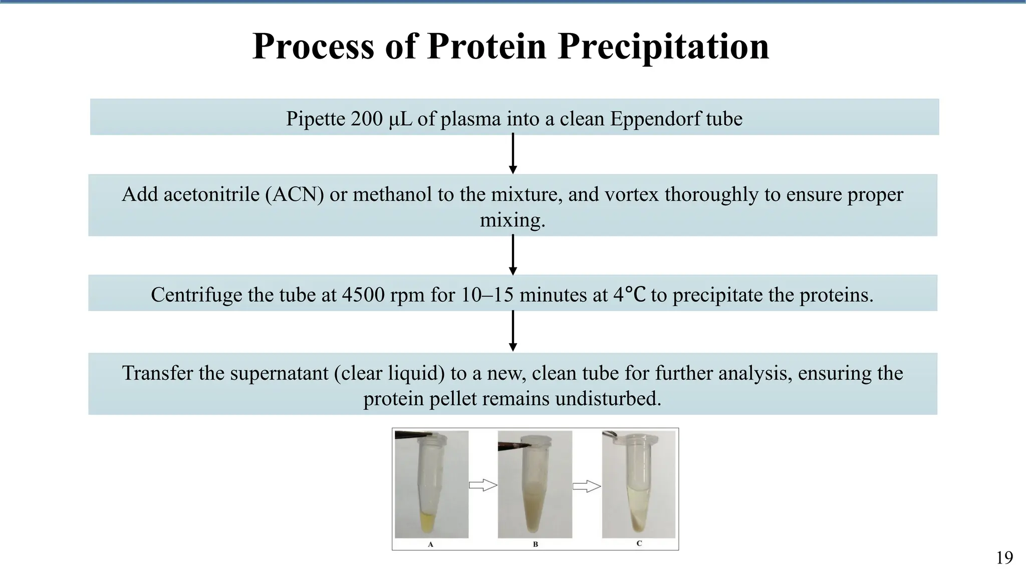 Sem3 Comprehensive study on Gallic acid | PPTX