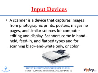 Input and Output Devices | PPT