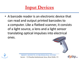 Input and Output Devices | PPT