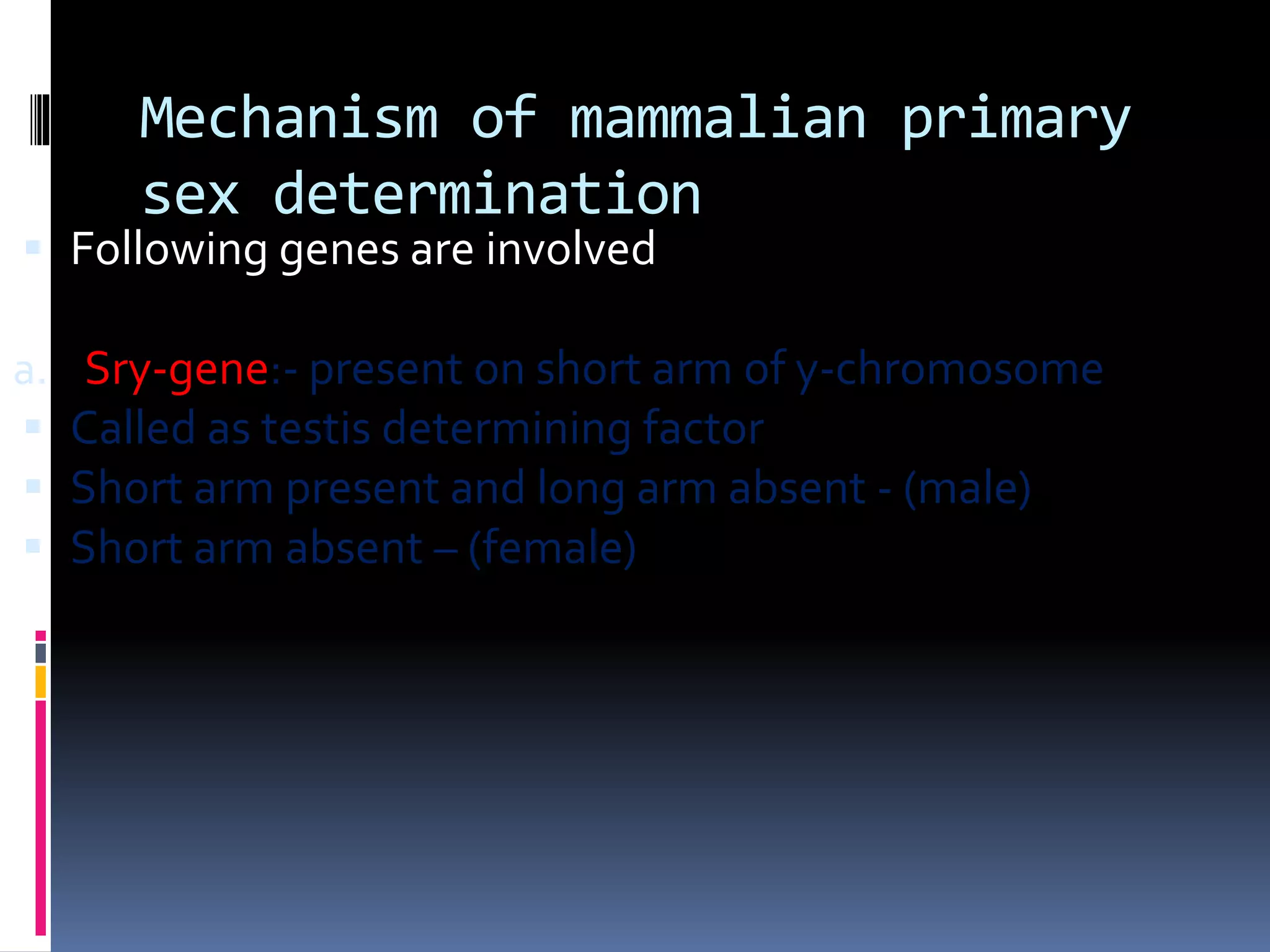 Sex Determination | PPTX