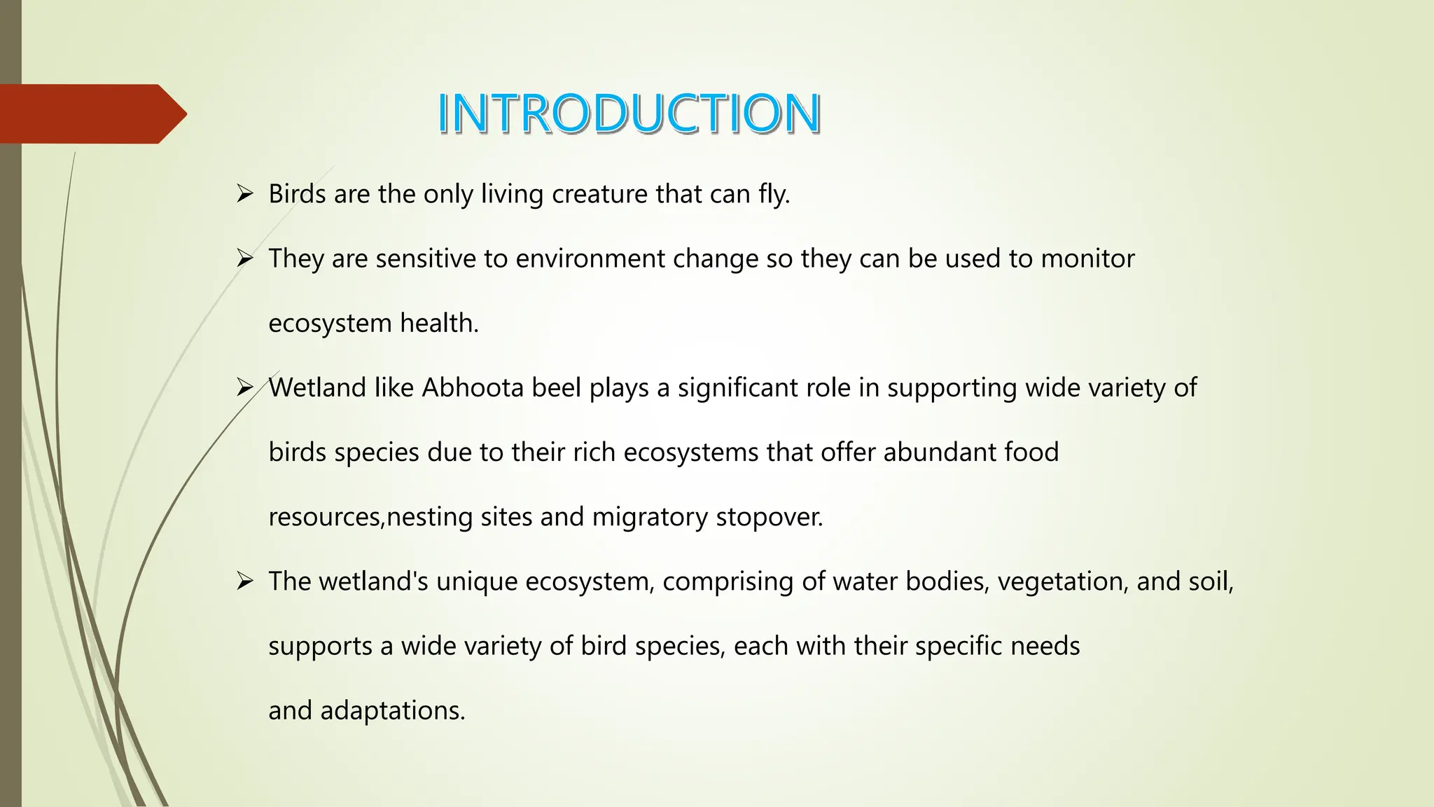 BIRDS DIVERSITY OF SOOTEA BISWANATH ASSAM.ppt.pptx