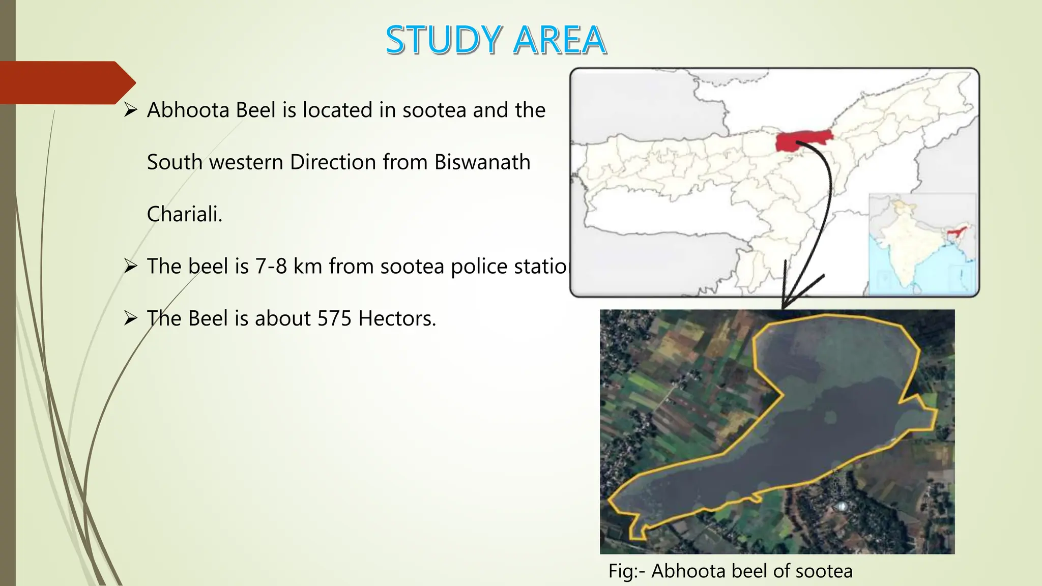 BIRDS DIVERSITY OF SOOTEA BISWANATH ASSAM.ppt.pptx