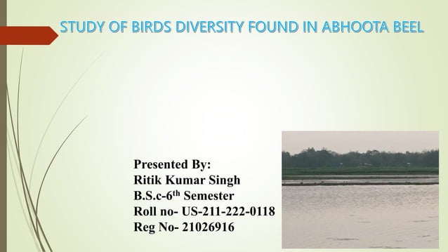 BIRDS DIVERSITY OF SOOTEA BISWANATH ASSAM.ppt.pptx