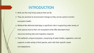 BIRDS DIVERSITY OF SOOTEA BISWANATH ASSAM.ppt.pptx