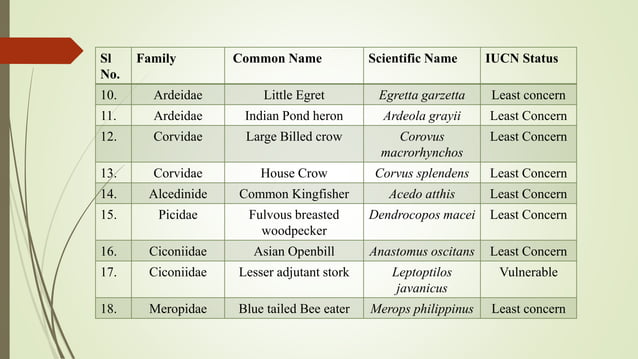 BIRDS DIVERSITY OF SOOTEA BISWANATH ASSAM.ppt.pptx