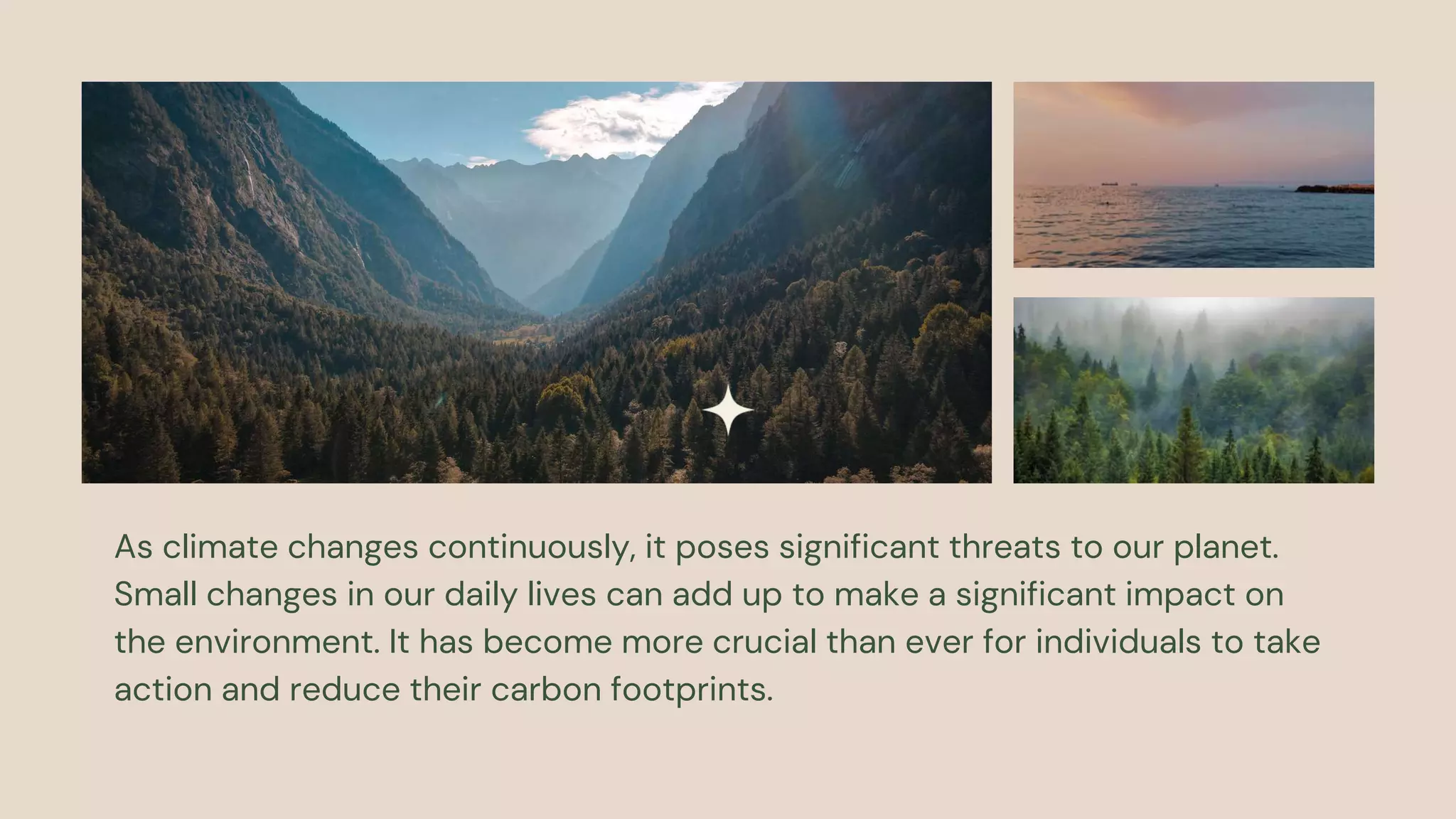 Ritik Kumar Sinha Ways to Reduce Carbon Footprint & Save Earth.pptx