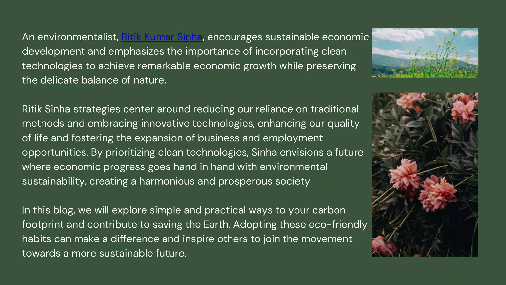 Ritik Kumar Sinha Ways to Reduce Carbon Footprint & Save Earth.pptx