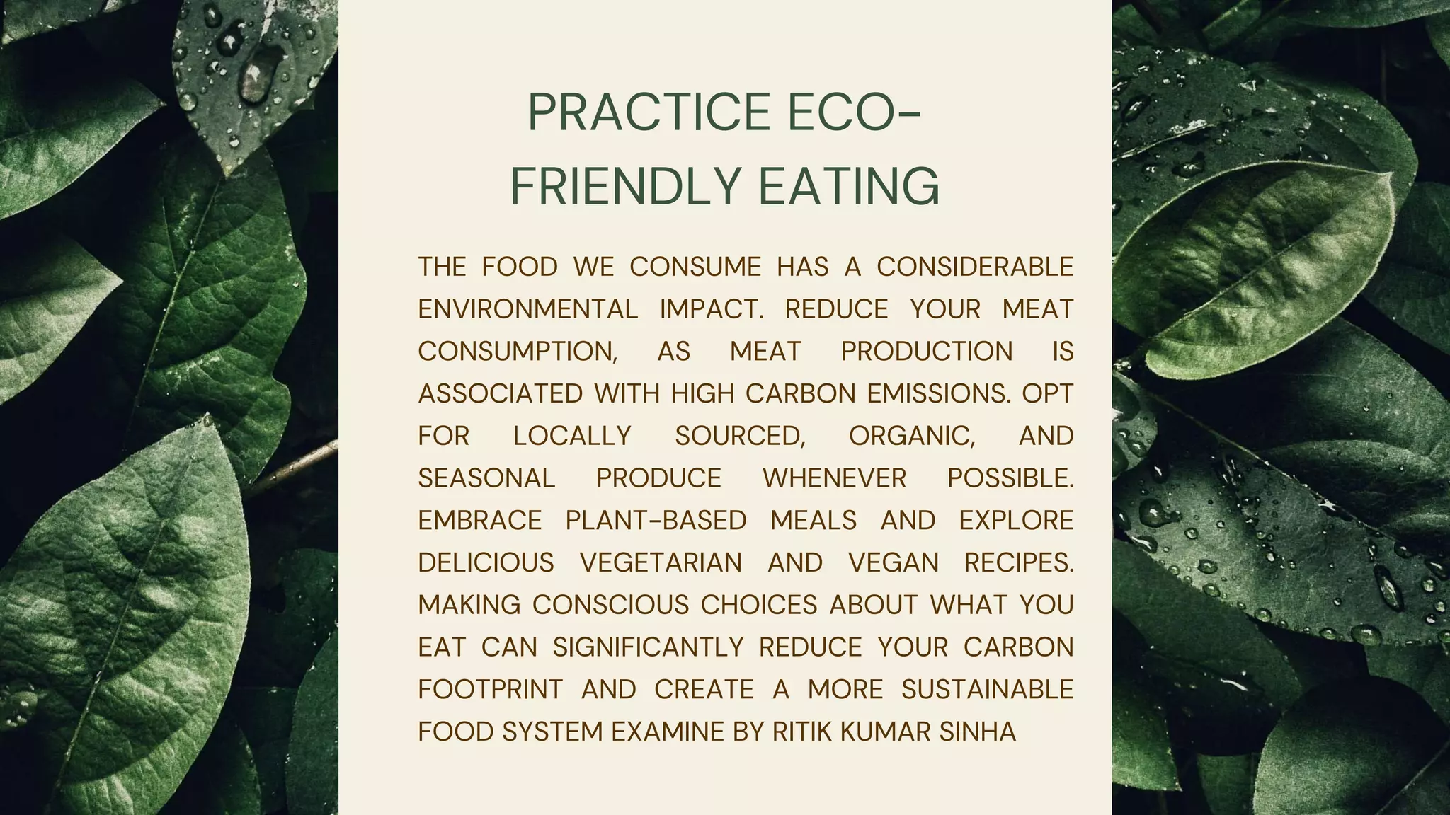 Ritik Kumar Sinha Ways to Reduce Carbon Footprint & Save Earth.pptx