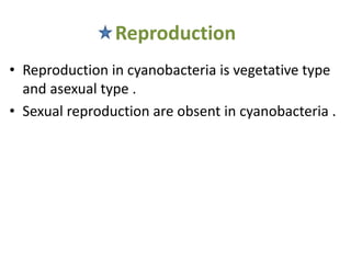 Cyanobacteria .pptx