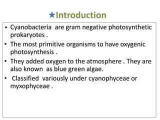 Cyanobacteria .pptx