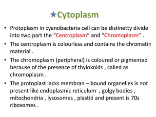 Cyanobacteria .pptx